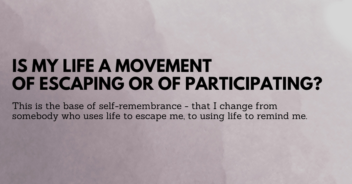 Is my life a movement of escaping or of participating? - Dhyan Vimal ...